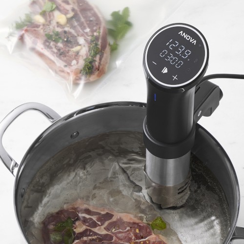 Anova Precision Cooker Review: I've Changed How I Cook Meat Forever ...