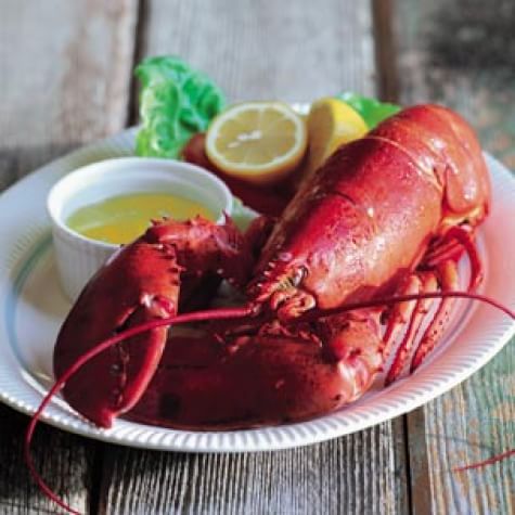 Steamed Lobster with Drawn Butter | Williams Sonoma