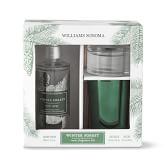 Williams Sonoma Winter Forest Fragrance Diffuser | Williams Sonoma