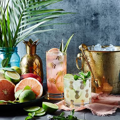Glassware, Barware & Tableware | Williams Sonoma