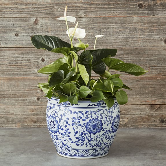 Blue & White Ceramic Planter, Extra Large | Williams Sonoma