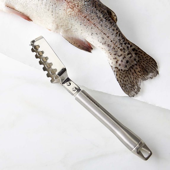 Paderno Stainless-Steel Fish Descaler | Williams Sonoma
