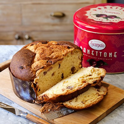 Scarpato Panettone | Williams Sonoma